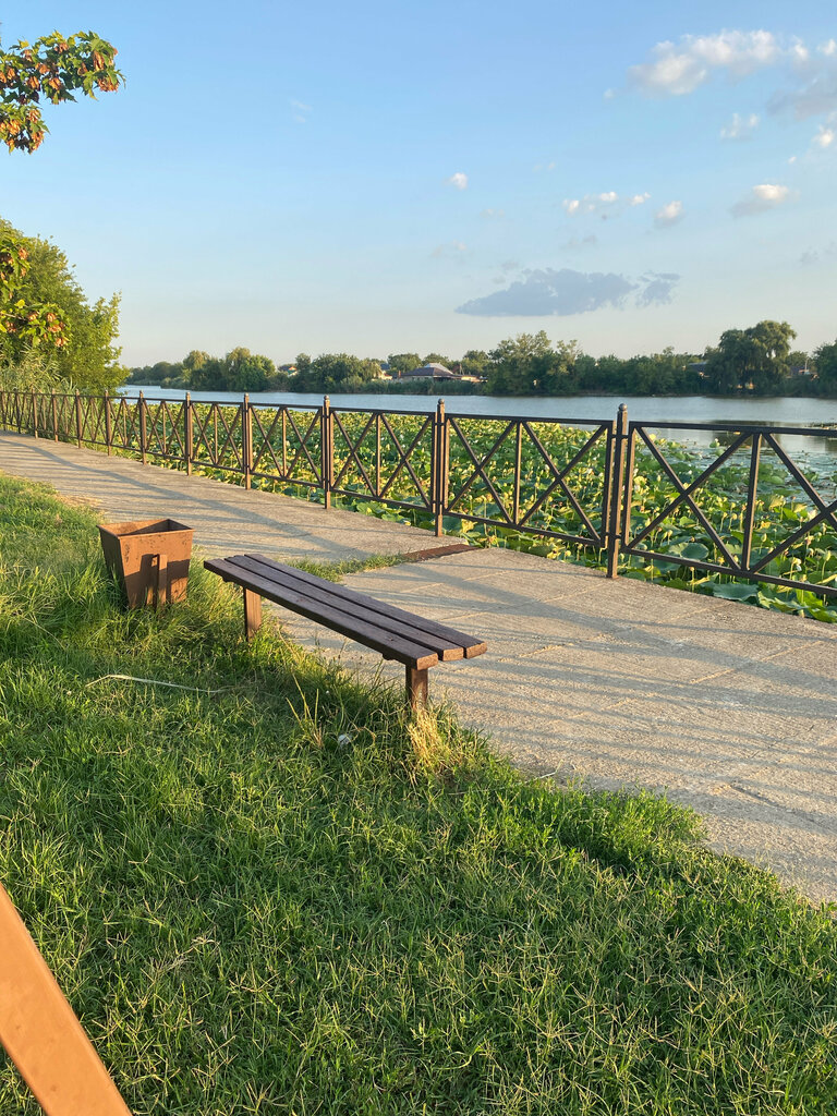 Bank Bench, Krasnodarski krayı, foto