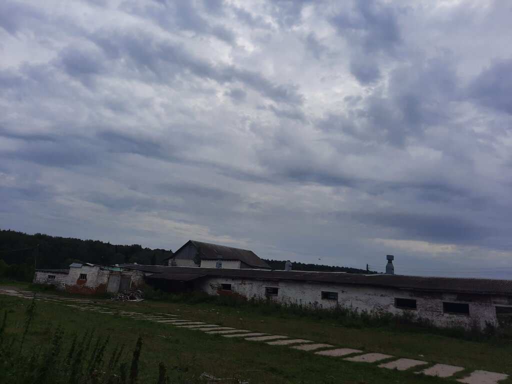Tarım ürünleri firmaları Ферма, Moskova, foto