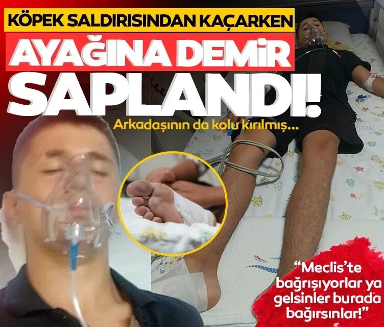 Yayınevleri, yayıncılar Sabah, İstanbul, foto