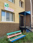 Клевер (Mira Street No:12), kurs  Viluchinsk'ten
