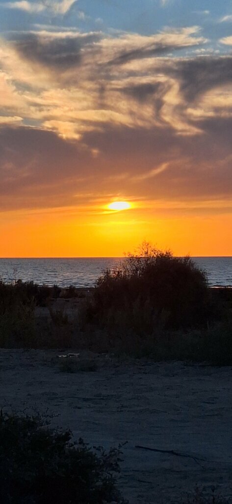 Kafe Cafe, Cizzak eyaleti, foto