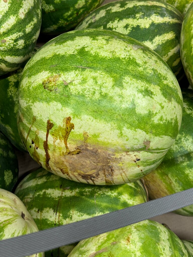 Süpermarket Dixy, Balabanovo, foto