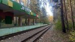 станция Лесная (gorodskoy okrug Chelyabinsk, Tsentralniy District, Chelabinsky urban bor), yük istasyonu  Çeliabinsk'ten