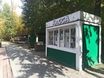 Прокат лодок и катамаранов (Republic of Tuva, Kyzyl, Natsionalny park kultury i otdykha Respubliki Tyva), kiralama noktası  Kızıl'dan