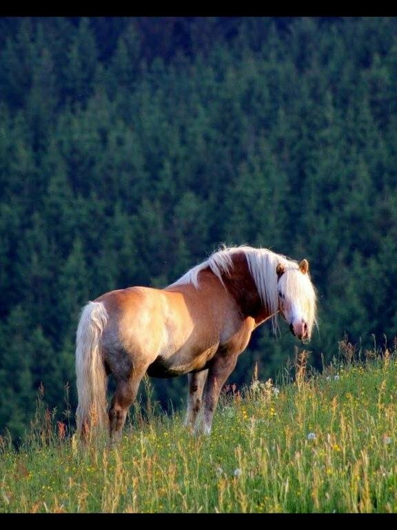 Otel Landferienwohnug Simon, Kuzey Ren‑Vestfalya, foto