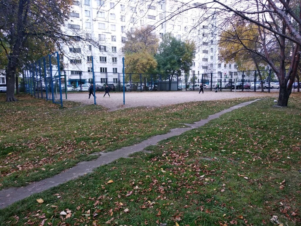 Spor alanı Спортивная площадка, Novosibirsk, foto
