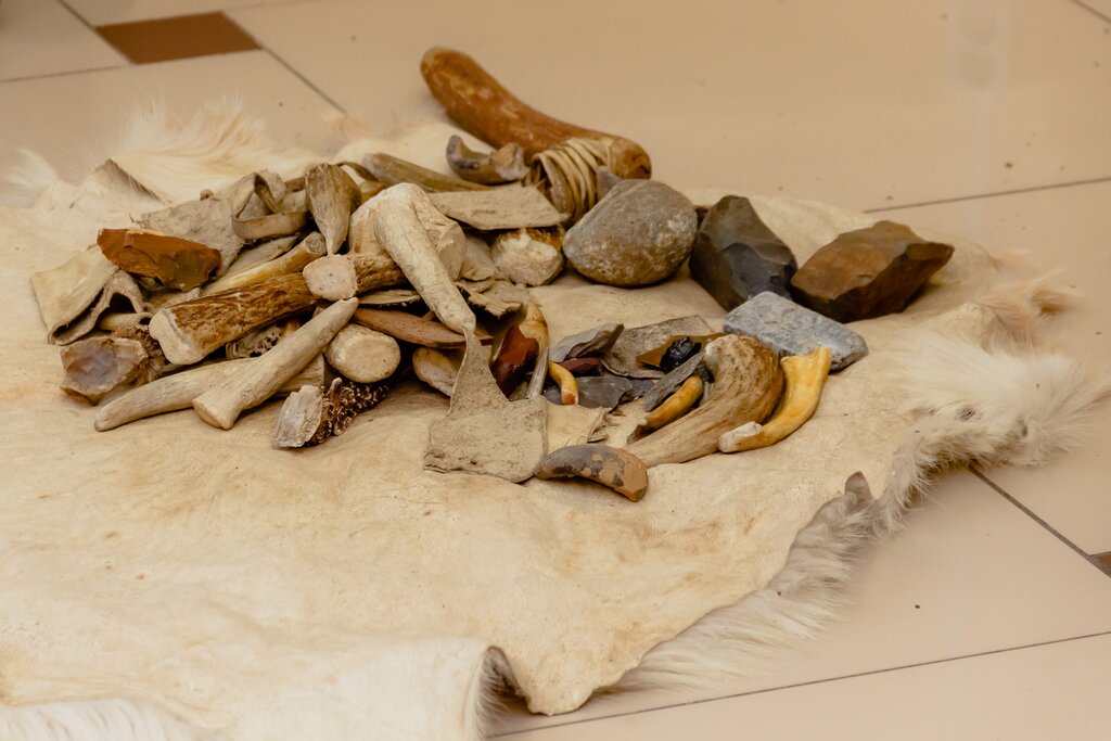 Geziler Paleopark Archaeos, Snejinsk, foto