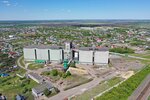 Bashmakovski elevator (ulitsa Lermontova No:4, rabochiy posyolok Bashmakovo), silo  Penzenskaya oblastından