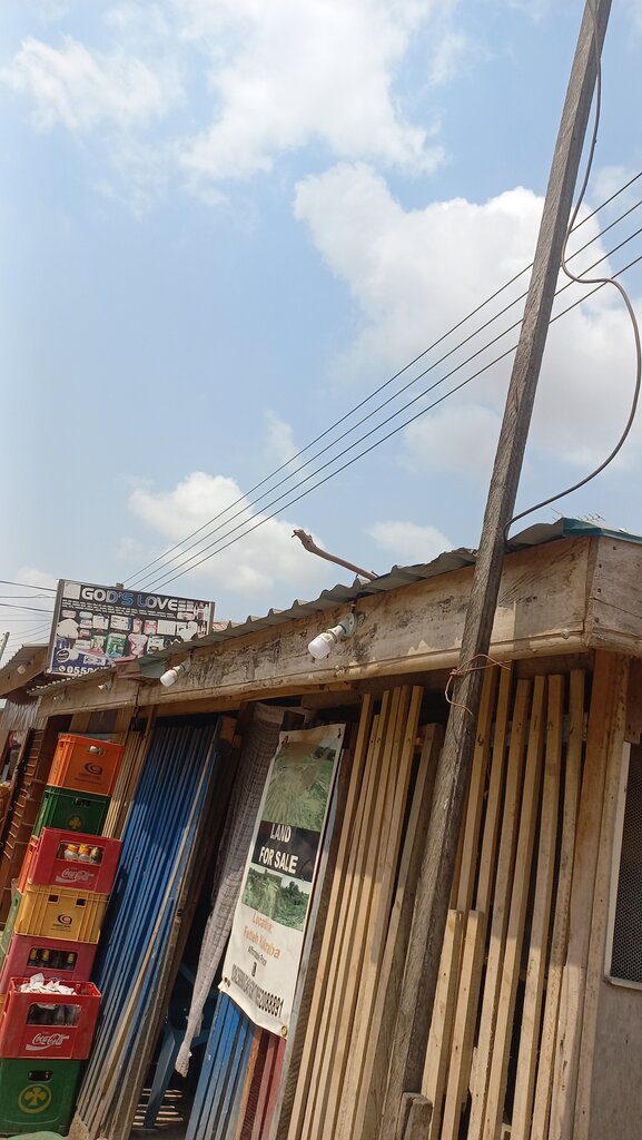 Süpermarket Gods love, Dünya, foto