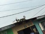 Dieu Est Grand (Brazzaville, Commune de Moungali, Rue Sainte Anne), kasap, şarküteri  Brazzaville'den