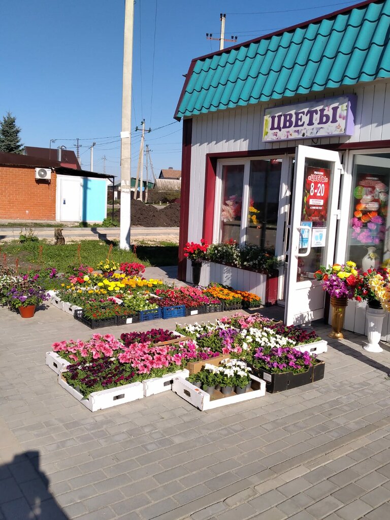 Çiçekçiler Цветы, Lipetskaya oblastı, foto