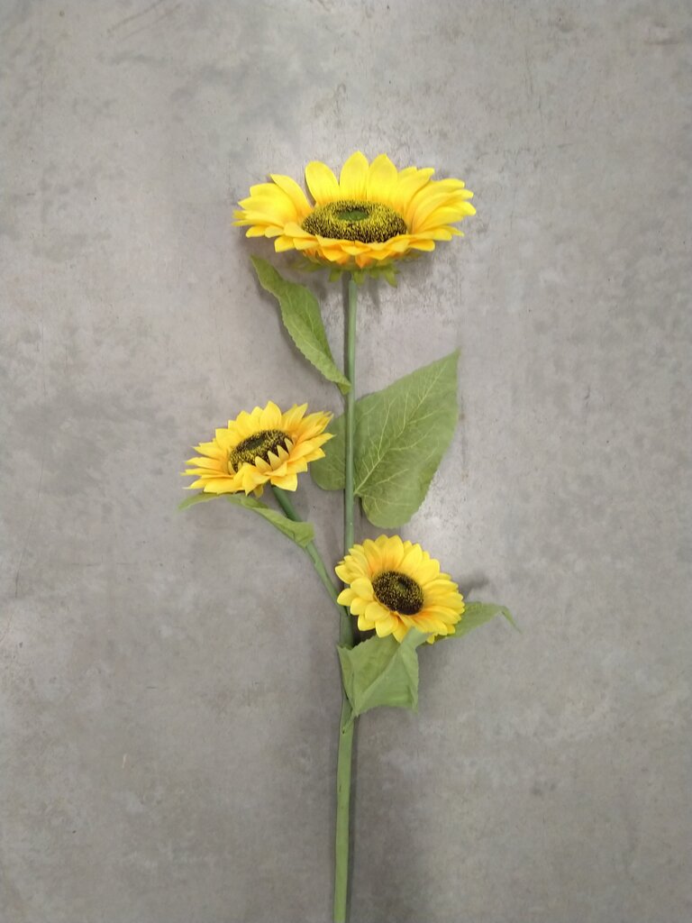 Yapay bitki ve çiçek Internet-magazin Podsolnukh59, Perm, foto