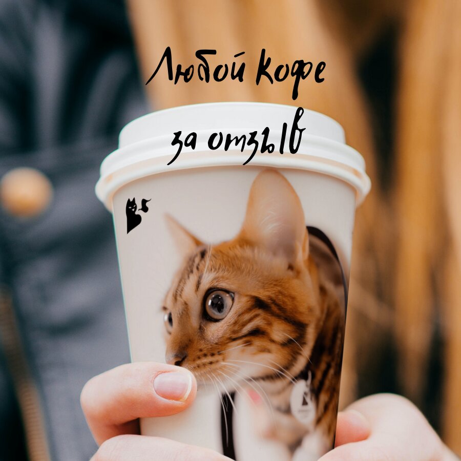 Tütün, sigara mağazaları Smoky cat, Saint‑Petersburg ve Leningradskaya oblastı, foto