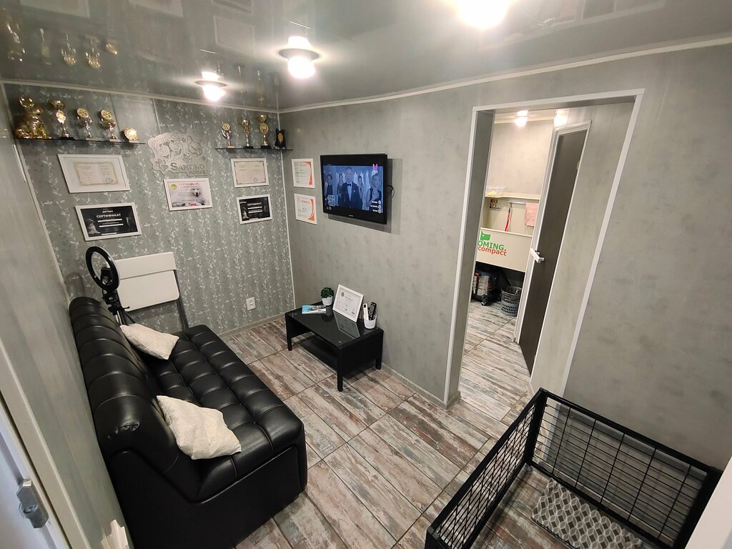 Evcil hayvan kuaförleri Dom Sandro, Samara, foto