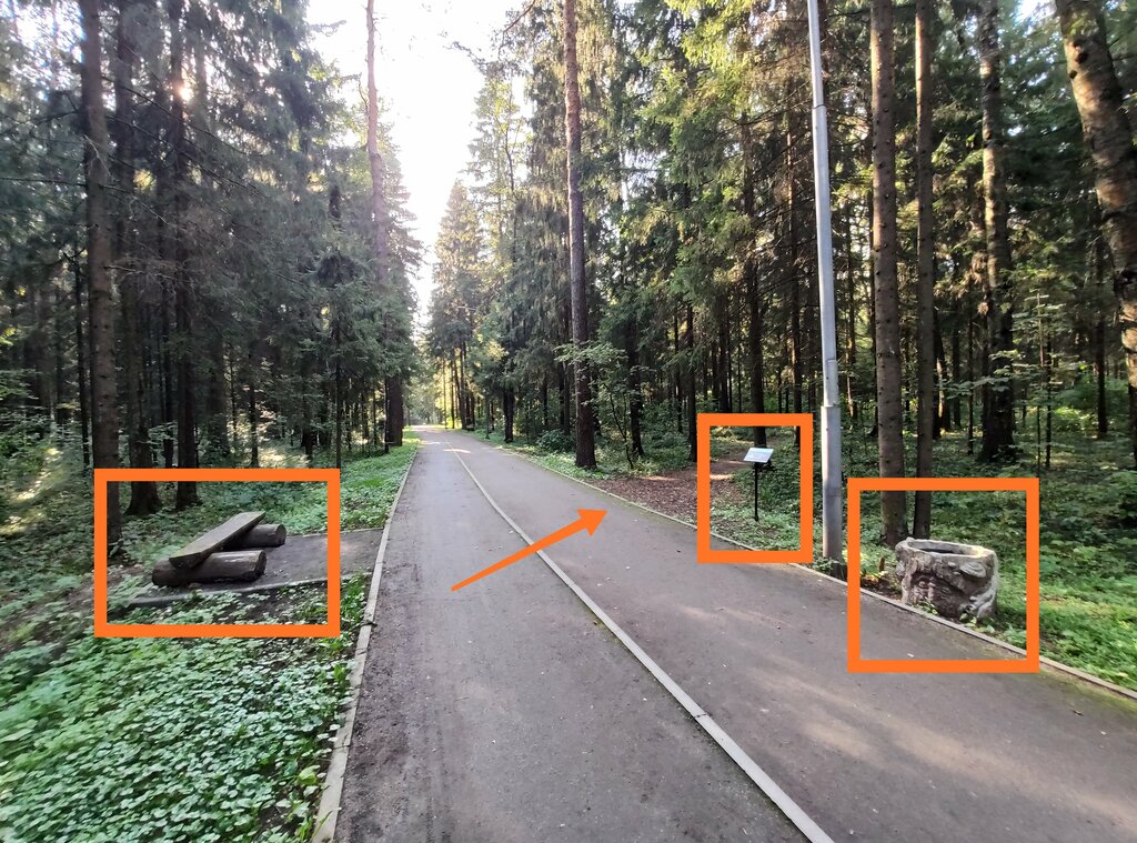 Köpek gezdirme alanları Dog park, Moskova ve Moskovskaya oblastı, foto