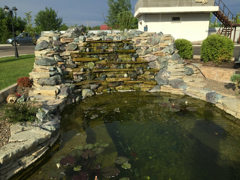 At ve binicilik kulüpleri Конезавод Аттика, Samarskaya oblastı, foto