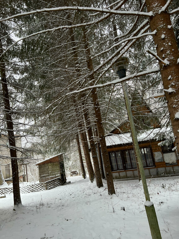 Resort oteller, tesisler Дом отдыха, Krasnodarski krayı, foto