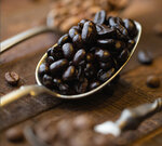 Bazerkan Coffee & Nuts (Sheikh Khalifa Bin Zayed Street No:167, Al Ain), kafe
