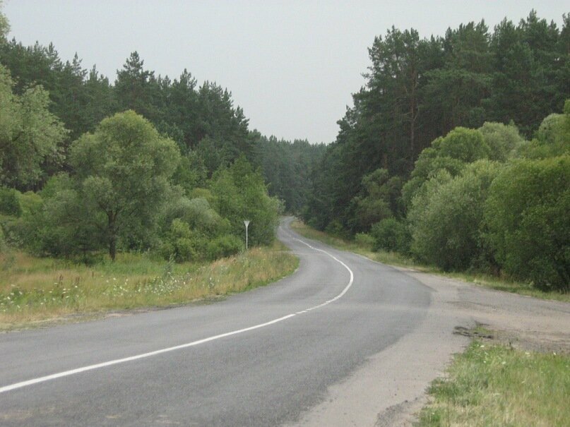 Orman урочище Мальцев, Kurskaya oblastı, foto