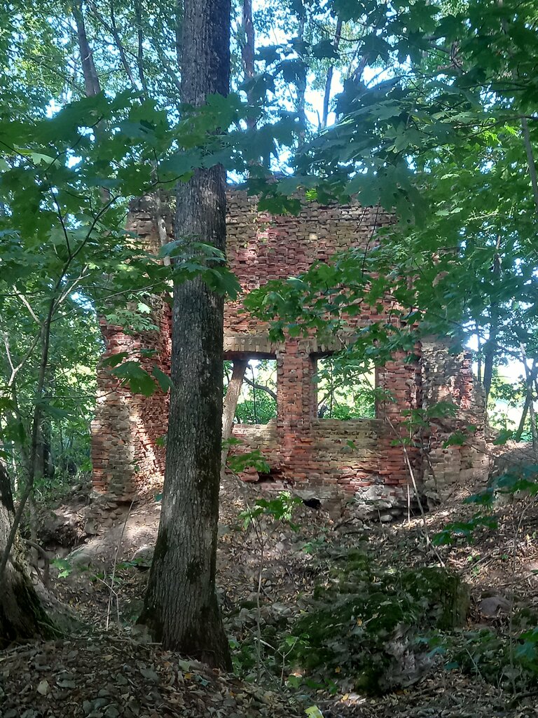 Turistik yerler Развалины части Усадьбы Хлюдинских, Vitebskaya oblastı, foto