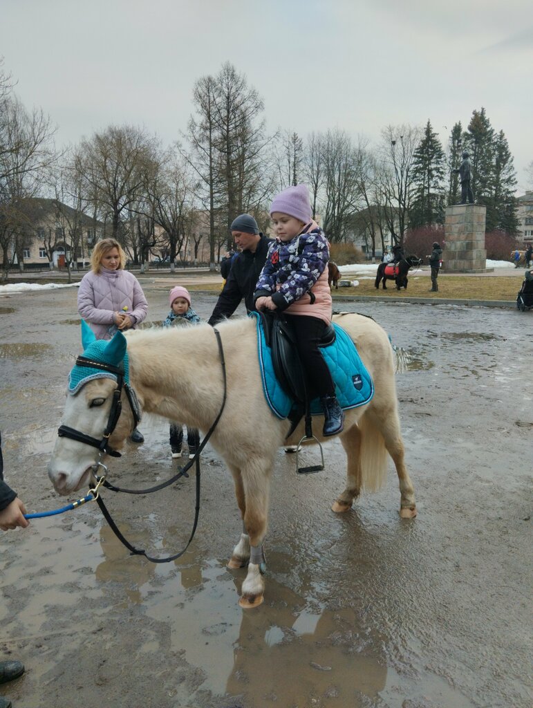 Turistik yerler Парк-усадьба Романщина, Saint‑Petersburg ve Leningradskaya oblastı, foto