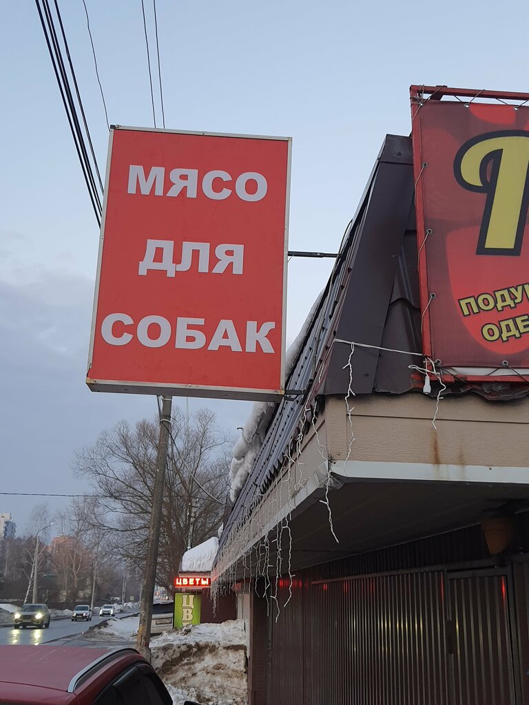 Petshop Сытый Дружок, Moskova ve Moskovskaya oblastı, foto