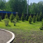 Сибирский Питомник (Kalinina Street No:54), fidan yetiştiriciliği  Krasnoyarsk'tan