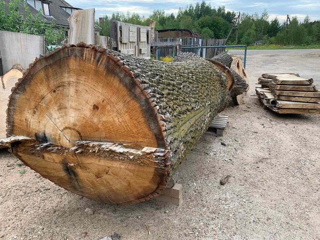 Ahşap endüstrisi Wood processing, Minskaya oblastı, foto