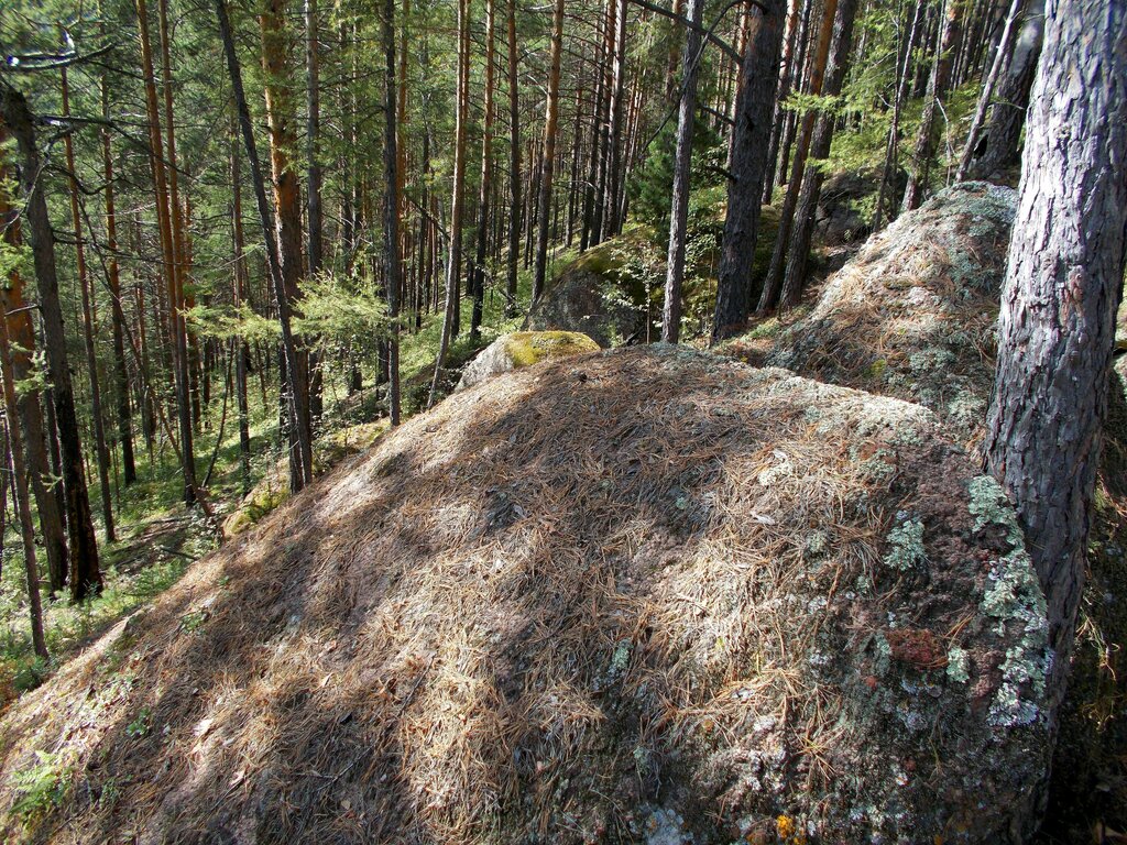 Dağ zirvesi Скала Орлик, Krasnoyarski krayı, foto
