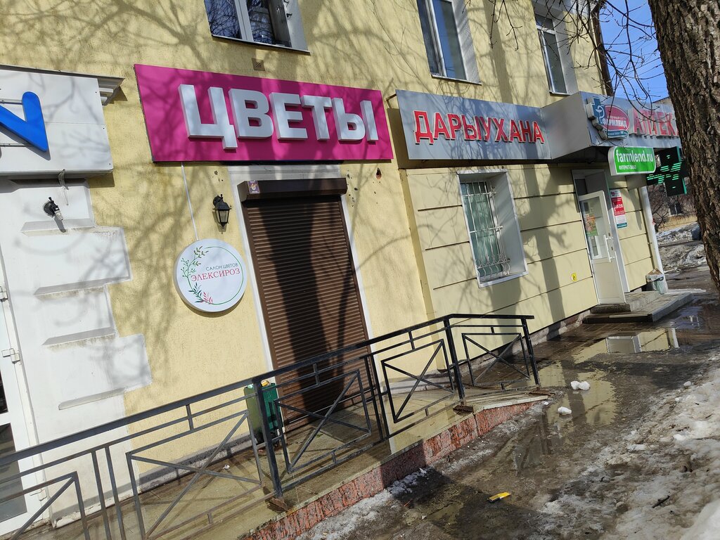 Çiçekçiler Elexiroz, Ufa, foto