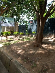 Palm tree (Lusaka, Mulungushi, Chainama Road, 3592), masaj salonları  Lusaka'dan