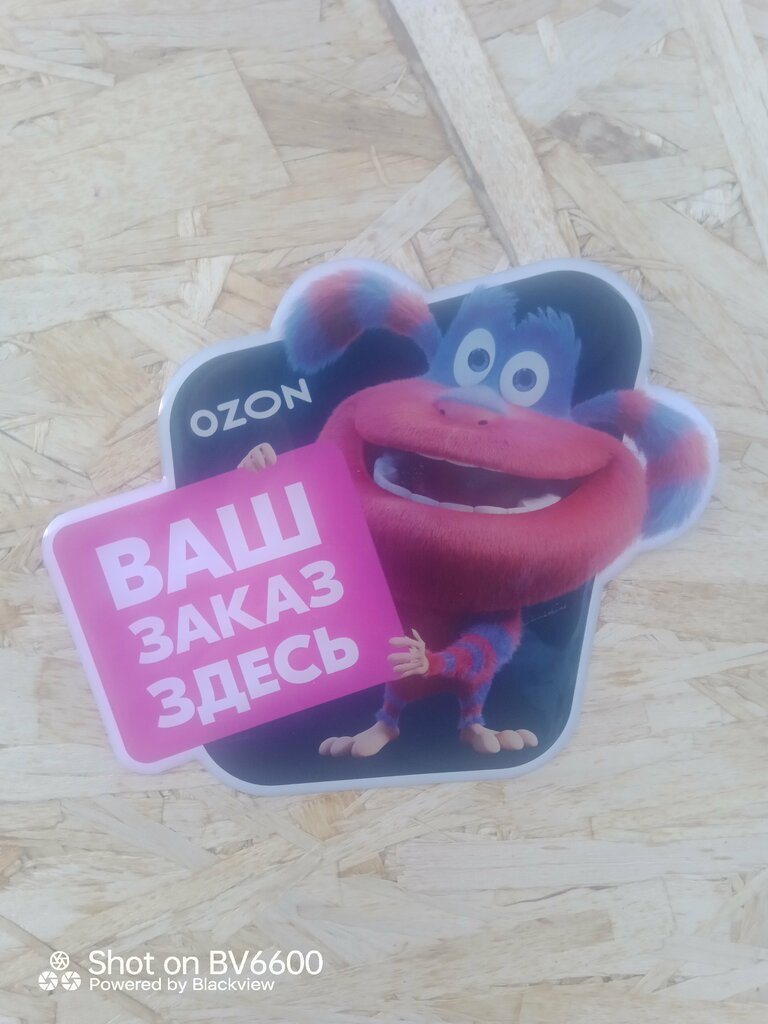 Teslimat noktası Ozon, Saratovskaya oblastı, foto