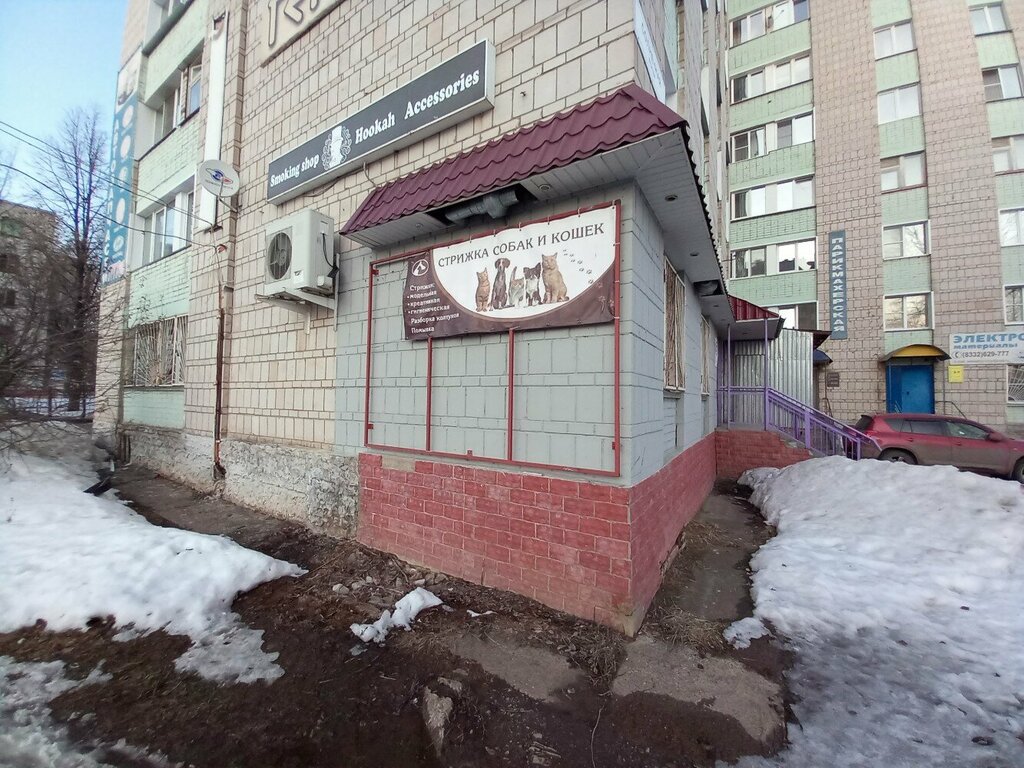 Evcil hayvan kuaförleri Дама с собачкой, Kirov, foto