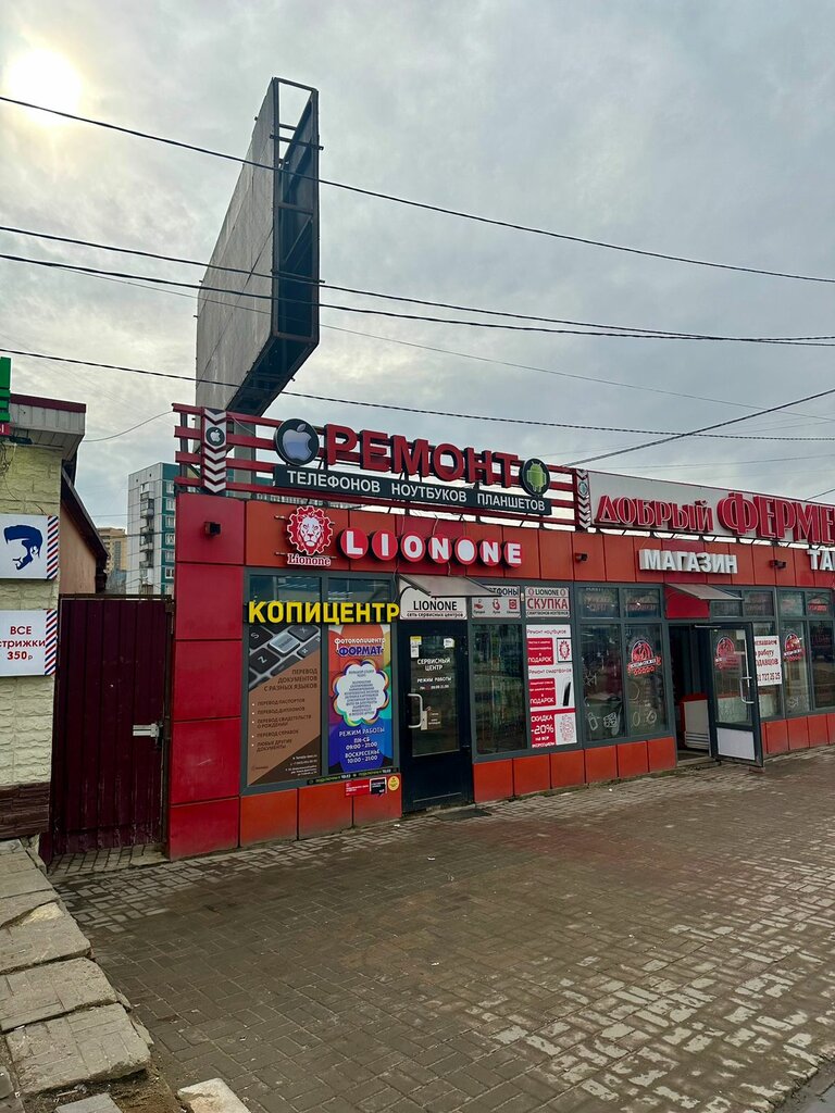 Tercüme büroları Mir slov, Saint‑Petersburg ve Leningradskaya oblastı, foto