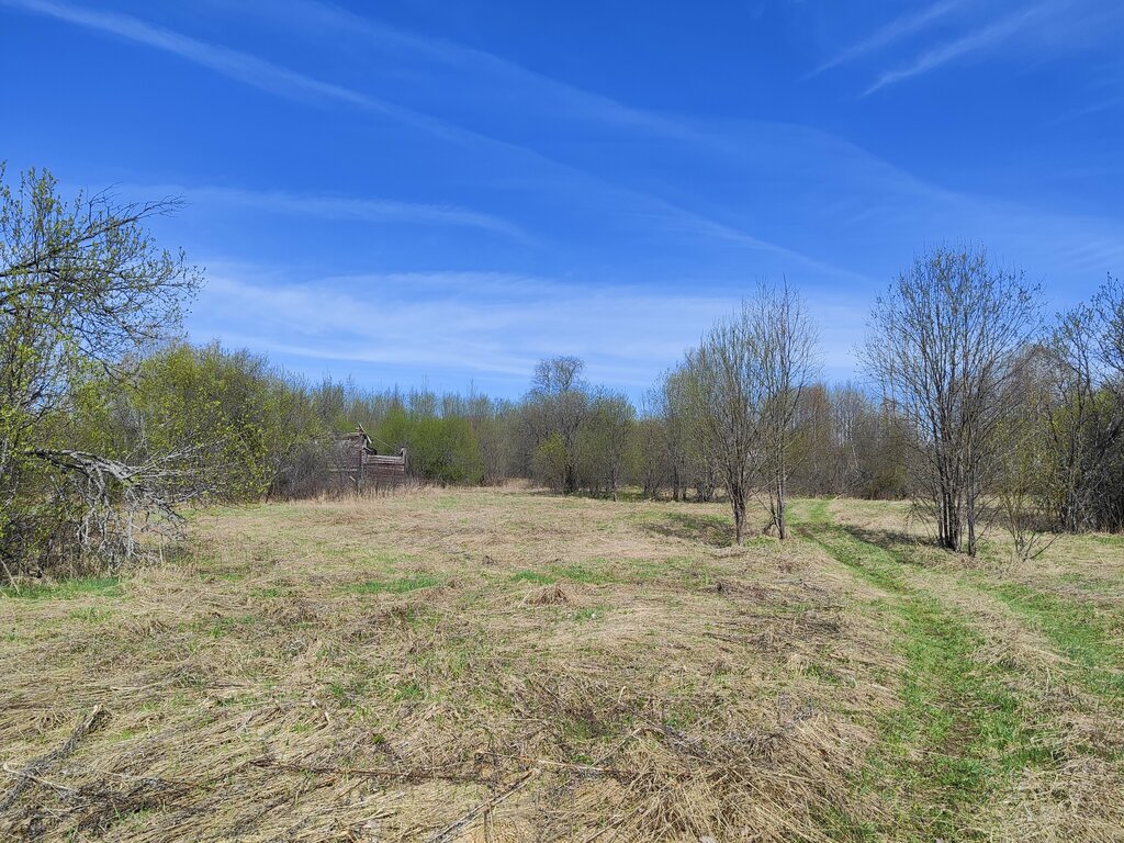 Turistik yerler Усадьба Михайловское-Озёрное, Kostromskaya oblastı, foto