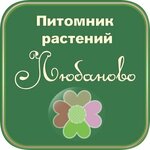 Питомник растений (Parkovaya ulitsa No:8, derevnya Lyubanovo), fidan yetiştiriciliği  Moskova ve Moskovskaya oblastından