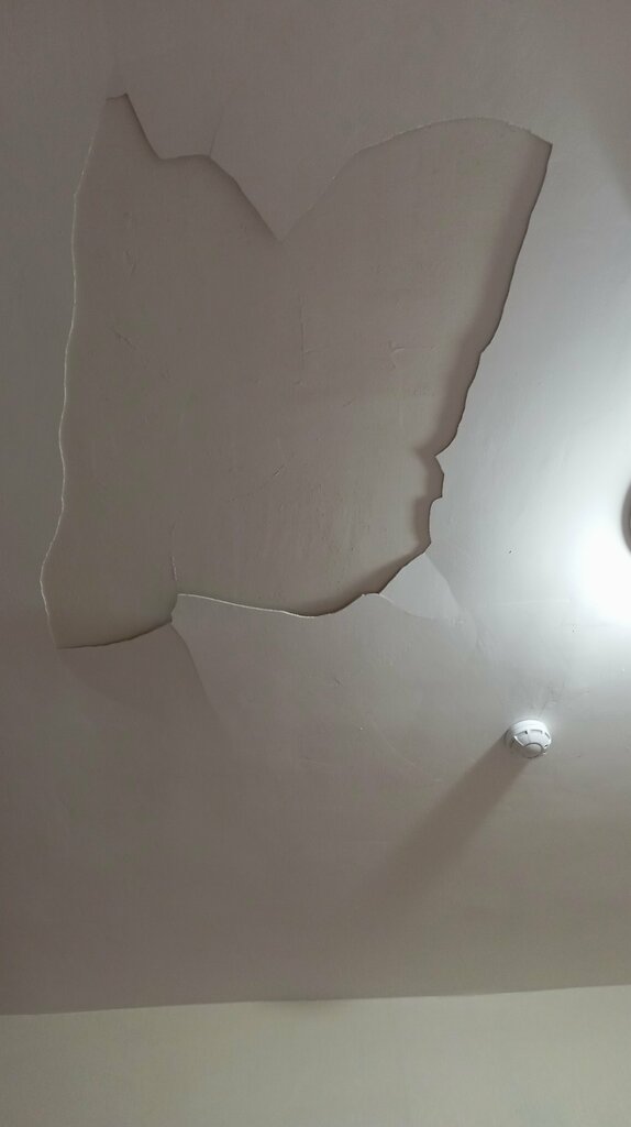 Seyahat acenteleri Адлеркурорт Смена, Soçi, foto