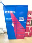 Ozon (Obuvschikov Street No:63), parsel otomatı  Yekaterinburg'dan