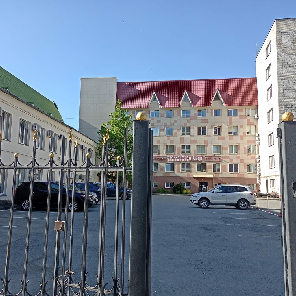 Mantar yetiştirme ve satış Синьор Витамин, Çeliabinsk, foto