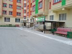 Alash-A (No:8, 31B yqsham aýdany), spor okulları  Aktav'dan
