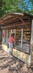 Пашковский хлеб (ulitsa imeni Dmitriya Blagoyeva No:19/2), ekmek fırını  Krasnodar'dan
