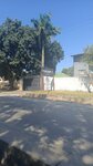 Peejays car hire (Lusaka, Silwizya, Mwambeshi Road, 2130), otomobil satış galerileri  Zambiya'dan