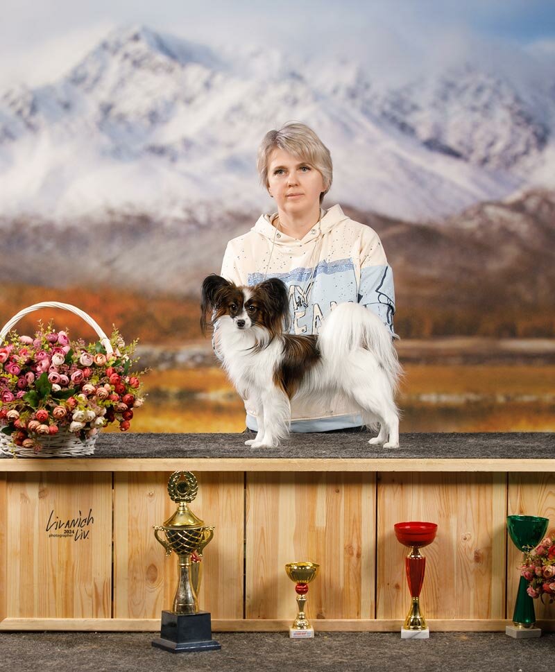 Evcil hayvan yetiştiricileri Kennel Serebryanaya podkova, Moskova ve Moskovskaya oblastı, foto