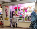 Цветы (Novosibirsk, Kirova Street), çiçekçiler  Novosibirsk'ten