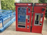 Чао-какао (Korenovskaya ulitsa No:31), kuruyemiş, atıştırmalık, kuru meyve  Krasnodar'dan