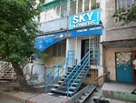 Sky flowers (Moscow Street No:64), çiçek pazarı  Bişkek'ten