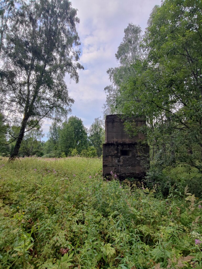 Turistik yerler Фашистский ДОТ, Kalujskaya oblastı, foto