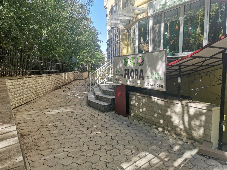 Çiçekçiler Eco flora, Dünya, foto