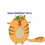 Vitaminka (Korolyova Avenue No:3), veteriner klinikleri  Koroliov'dan