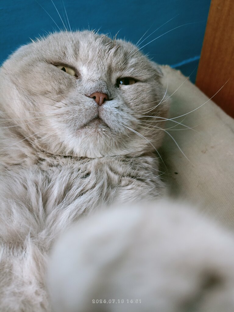 Kafe Локомотивные Бригады, Karelya, foto